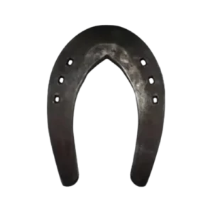 Horseshoes